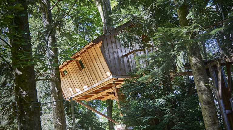 Ma-cabane-au-fond-des-bois-de-la-dame-blanche_head - Webzine