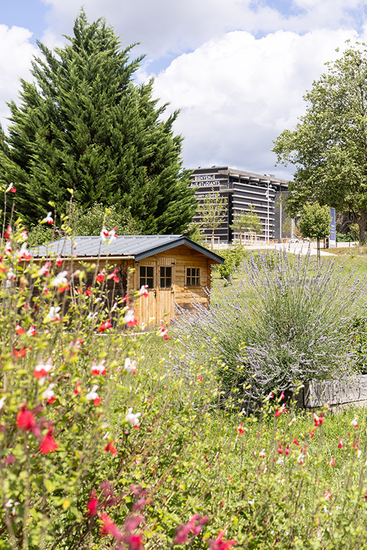 Campus Bouloie-Temis : une transformation d’équerre